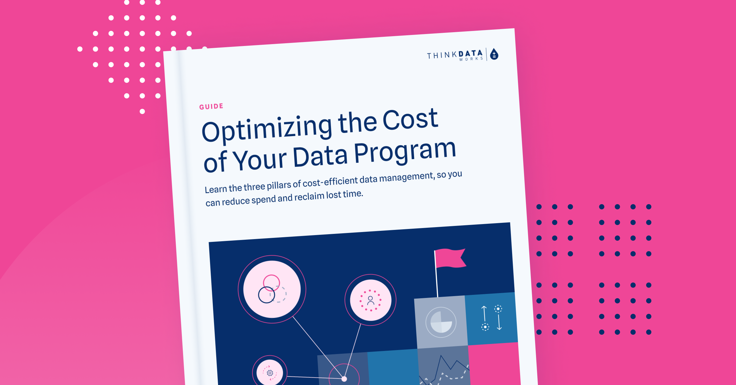 Guide: Optimizing the Cost of Your Data Program | ThinkData Works